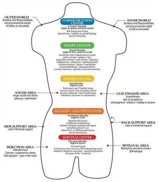 How the Body Works | Craniosacral Therapy NY